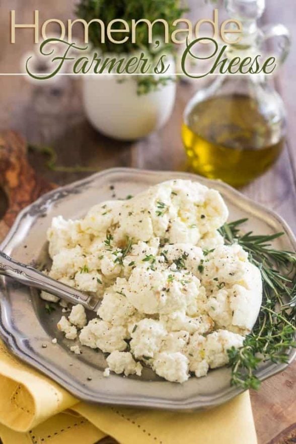 Homemade Fresh Farmer's Cheese